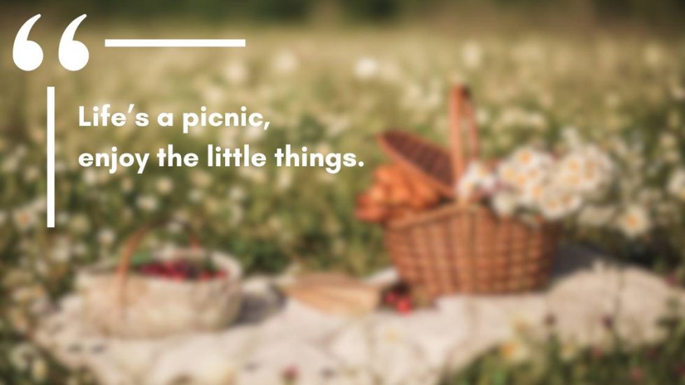 140+ Inspirational Picnic Quotes | Picnic Times