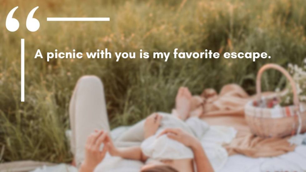140+ Inspirational Picnic Quotes | Picnic Times