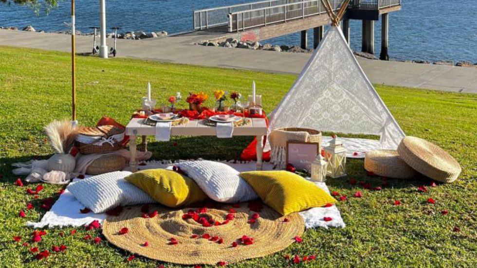 How to Plan the Perfect Picnic? | Picnic Times