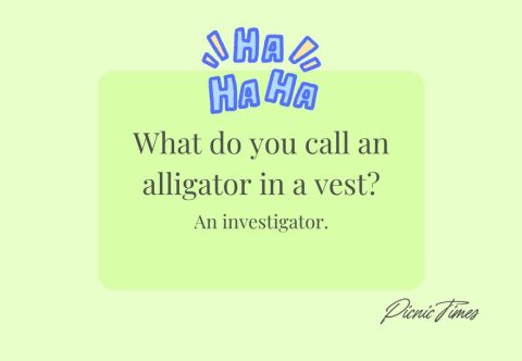 260 Best Dad Jokes – From Classic Puns to Dark Humor! | Picnic Times