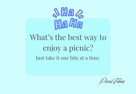 260 Best Dad Jokes – From Classic Puns to Dark Humor! | Picnic Times